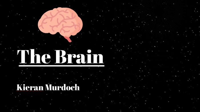 The Brain by Kieran Murdoch on Prezi