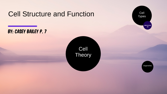 Cellular Function And Structure By Casey Bailey On Prezi
