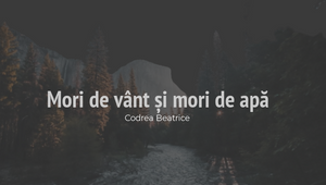 mori de vant si mori de apa by Beatrice Codrea on Prezi Design