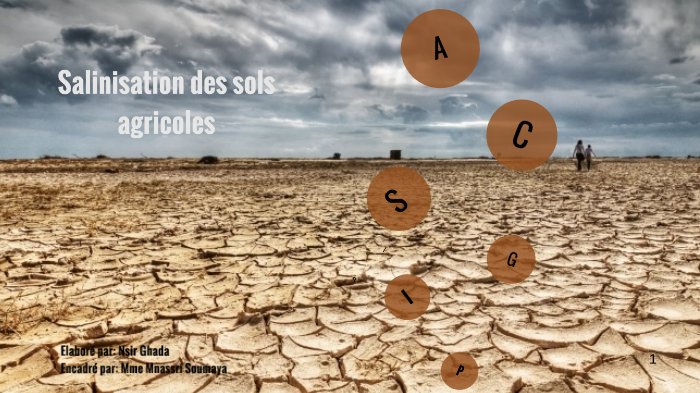 La salinisation des sols agricoles by ghada nsir on Prezi