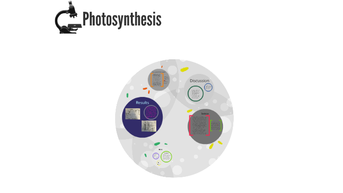Photosynthesis by Talexi Gasal on Prezi