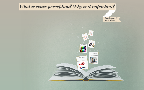 What is sense perception? Why is it important? by Trang Nguyen on Prezi