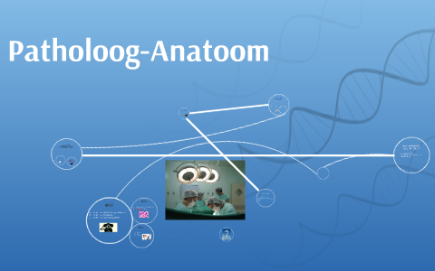 Patholoog-Anatoom by Amber Baan on Prezi