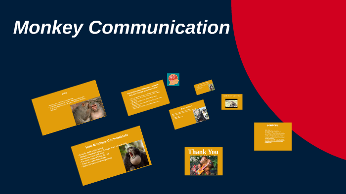 Monkey Communication by on Prezi