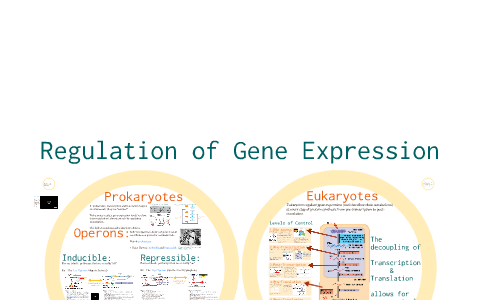 AP Bio- Molecular Genetics 3: Regulation of Gene Expression by Jessica ...