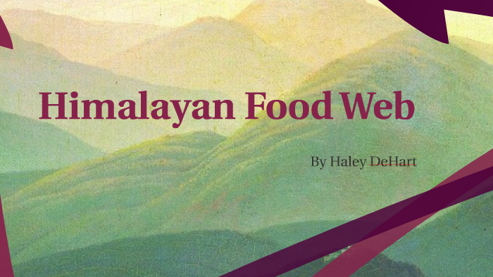 Himalayan Food Web by haley dehart on Prezi