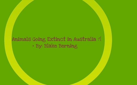 Animals Going Extinct in Australia by Blake Berning on Prezi