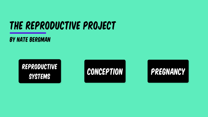 The Reproductive Project by Nathan Bergman on Prezi