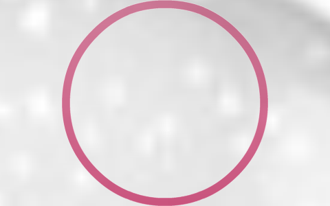 Smart Objectives by apple group on Prezi