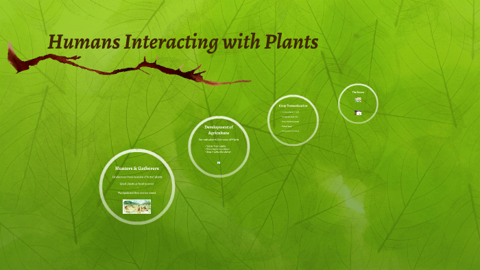 Humans Interacting with Plants by Eileen Nelson on Prezi
