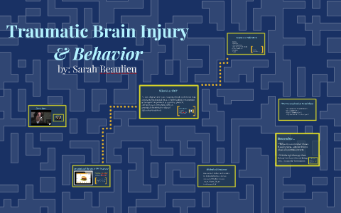 Traumatic Brain Injury & Behavior by Sarah Beaulieu on Prezi