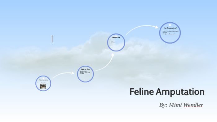 Feline Amputation by Amelia Wendler on Prezi