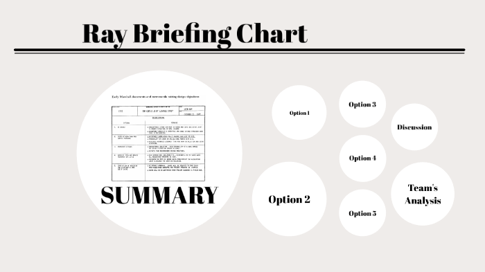 Ray Briefing Chart by Jami Daugherty on Prezi