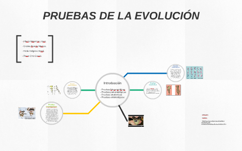 PRUEBAS DE LA EVOLUCIÓN by Pablo Melgares on Prezi