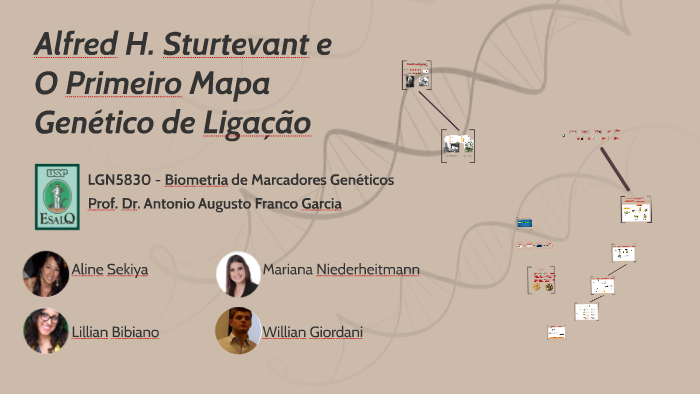 Alfred H. Sturtevant e O Primeiro Mapa Genético by Willian Giordani on ...