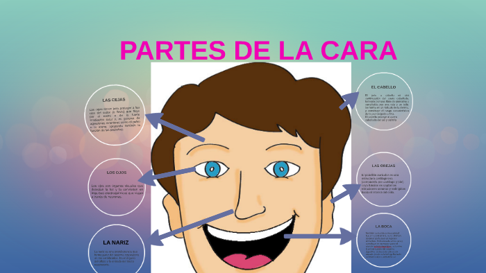PARTES DE LA CARA by Brenda Carolina Mancilla Manrique on Prezi