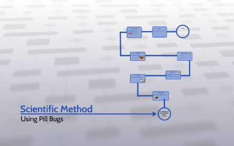 The Pill Bug Lab by Bailey Peterson on Prezi