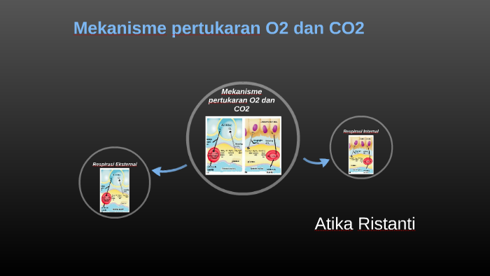 Mekanisme pertukaran O2 dan CO2 by yanuar reza on Prezi