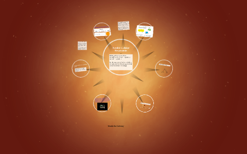 Aerobic Cellular Respiration by Giovanna Busa