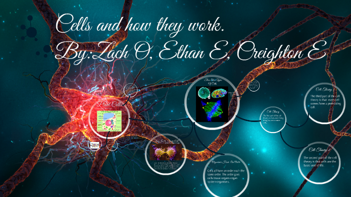 cells and how they work by zach odom on Prezi