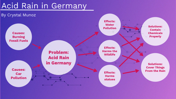 Acid Rain in Germany by Crystal Munoz on Prezi