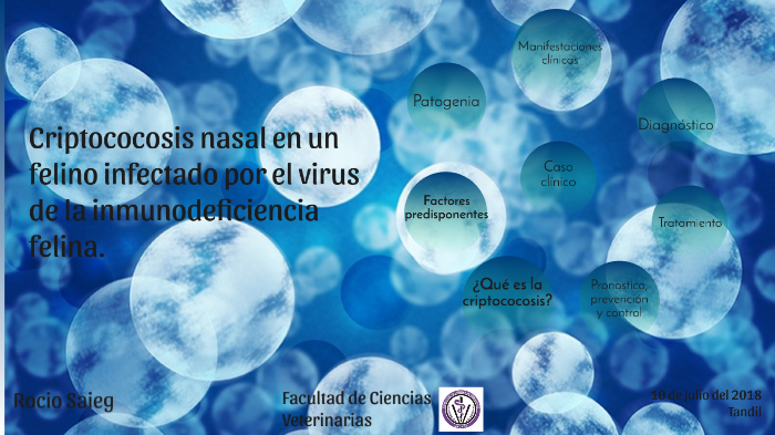 criptococosis by rocio saieg on Prezi