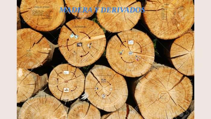 MADERA Y DERIVADOS by Alejandro Sánchez Marrero on Prezi
