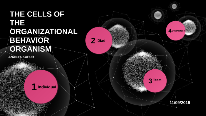 OB mental map by Ananya Kapur on Prezi