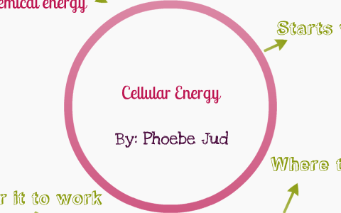 Cellular Energy Concept Map by Phoebe Jud on Prezi