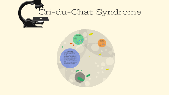 Doctor's Report by Kyra Batten on Prezi