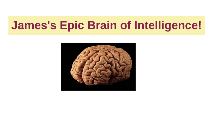 James' Epic Brain of Intelligence! by Janette Roberts on Prezi