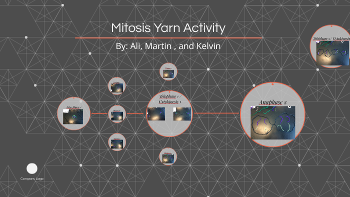 Mitosis Yarn Activity by Najaf Ali on Prezi