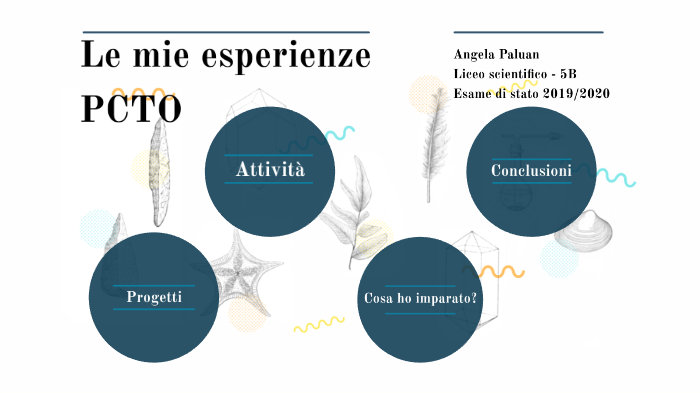 Presentazione PCTO by Angela Paluan on Prezi