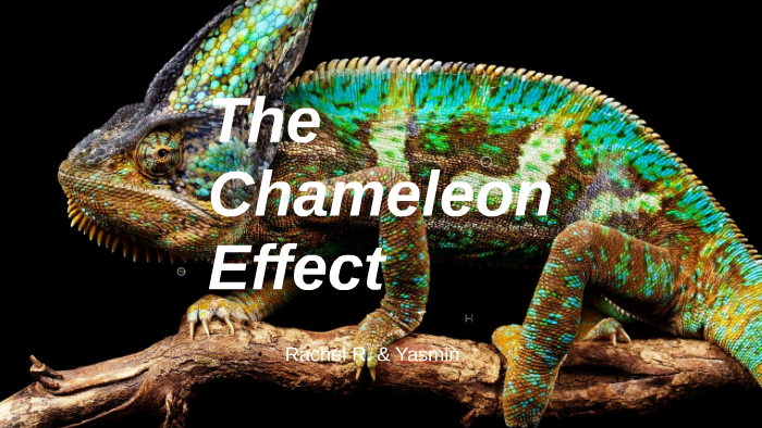 THE CHAMELEON EFFECT by Rachel Robinson on Prezi