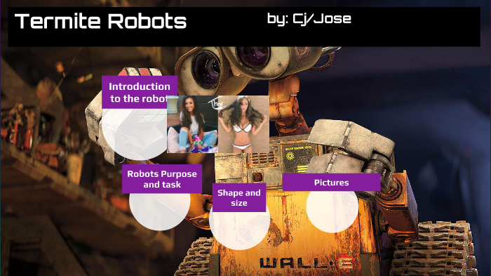 Termite Robot by Jose Mosqueda on Prezi