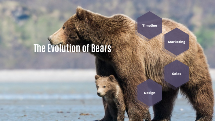 The Evolution on Bears by samara booker on Prezi