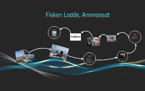 Fisken Lodde, Ammassat by Stefan Cort on Prezi