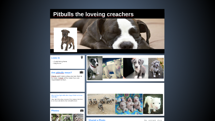 Pitbulls the loveing creachers by Ellie collier on Prezi