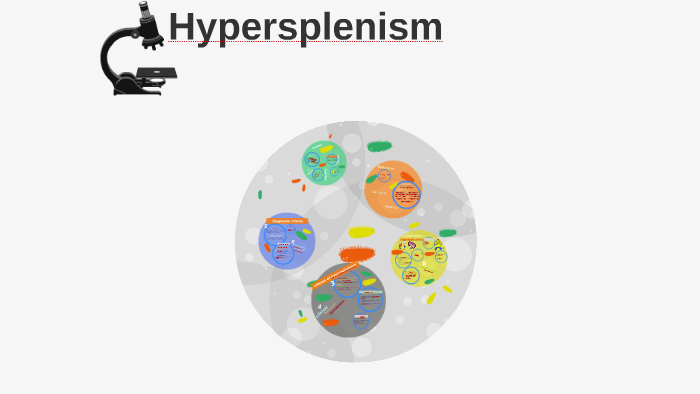 Hypersplenism by razan alsini on Prezi