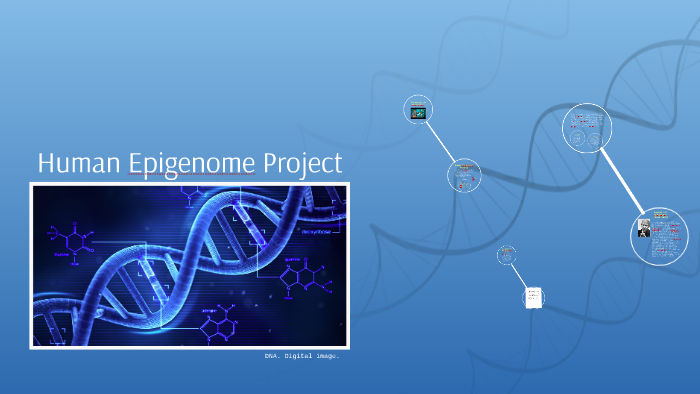Human Epigenome Project by steven storey on Prezi