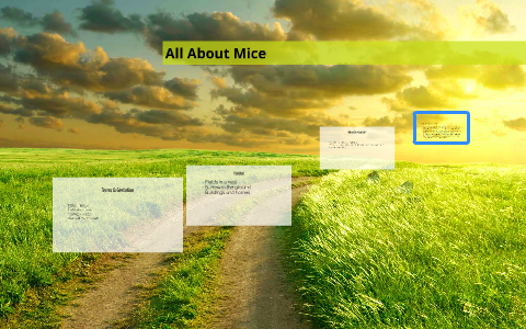 All About Mice by on Prezi