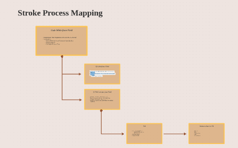 Stroke Process Mapping by Maura Stafford on Prezi