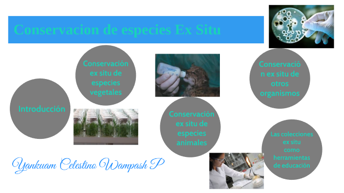 Conservacion de especies Ex Situ by Yankuam Wampash on Prezi