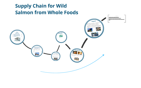 Wild Salmon Supply Chain by Valeria Vidal on Prezi