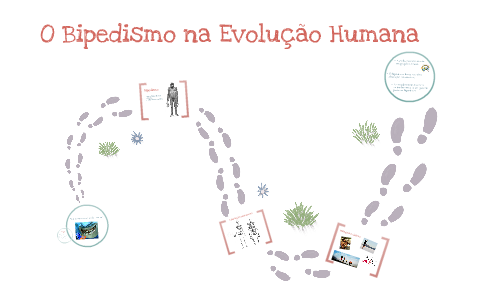 O Bipedismo na Evolução Humana by Ana Curto on Prezi
