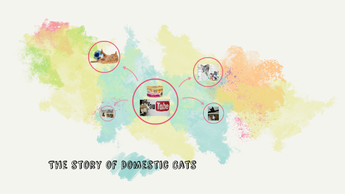 The Story of Domestic Cats by Maya Leann Washington on Prezi