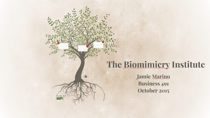 Biomimicry Institute by Jamie Marino on Prezi