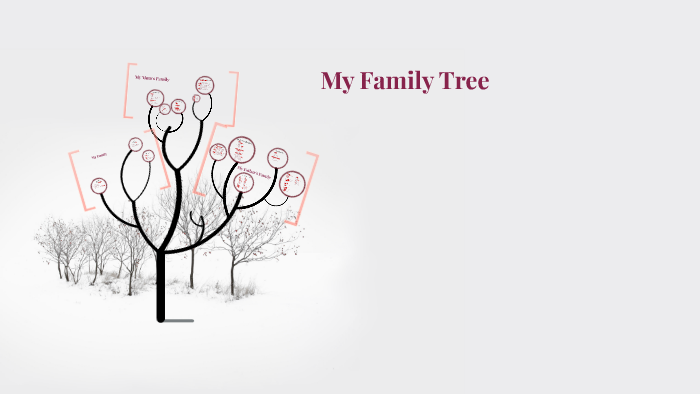 My Family Tree by Anna Doucet