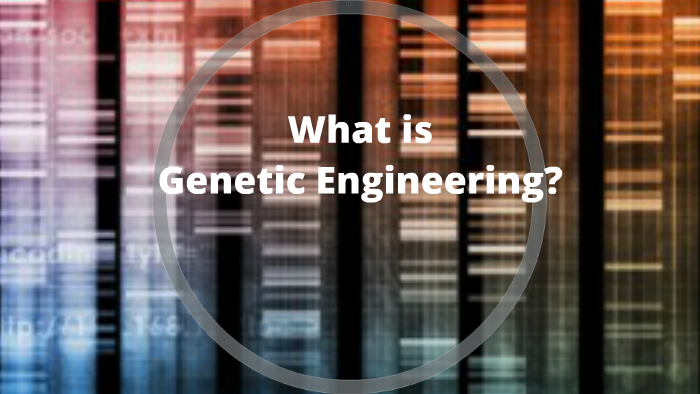 Genetic Engineering Template for Biology II by nicole mcgarrity on Prezi