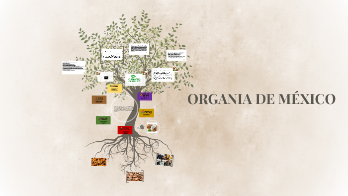 ORGANIA DE MÉXICO by